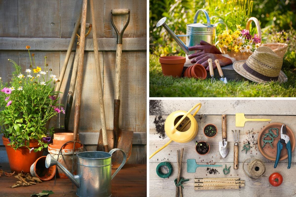 Essential Tools Every Gardener Needs for Spring Gardening – Plantsden