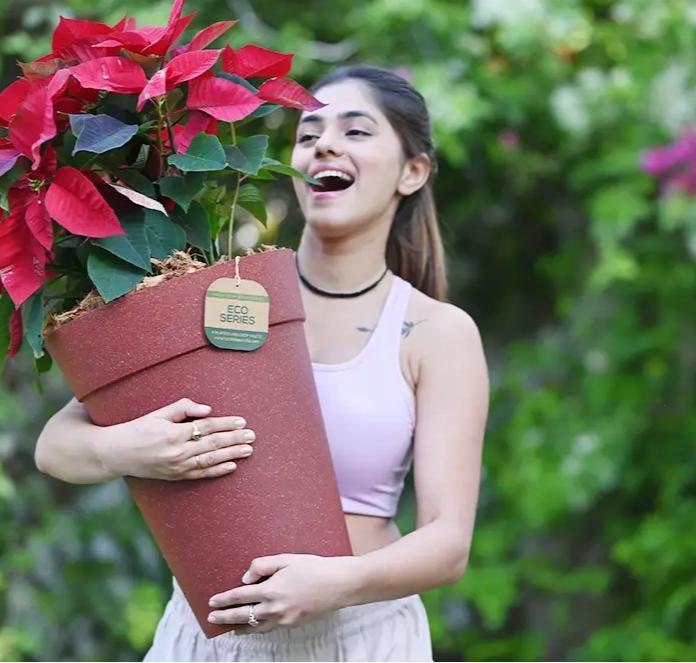 Attractive indoor pots and outdoor planters from plantsden – Plantsden